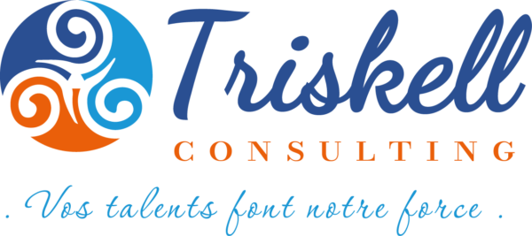 Nos Métiers Triskell Consulting
